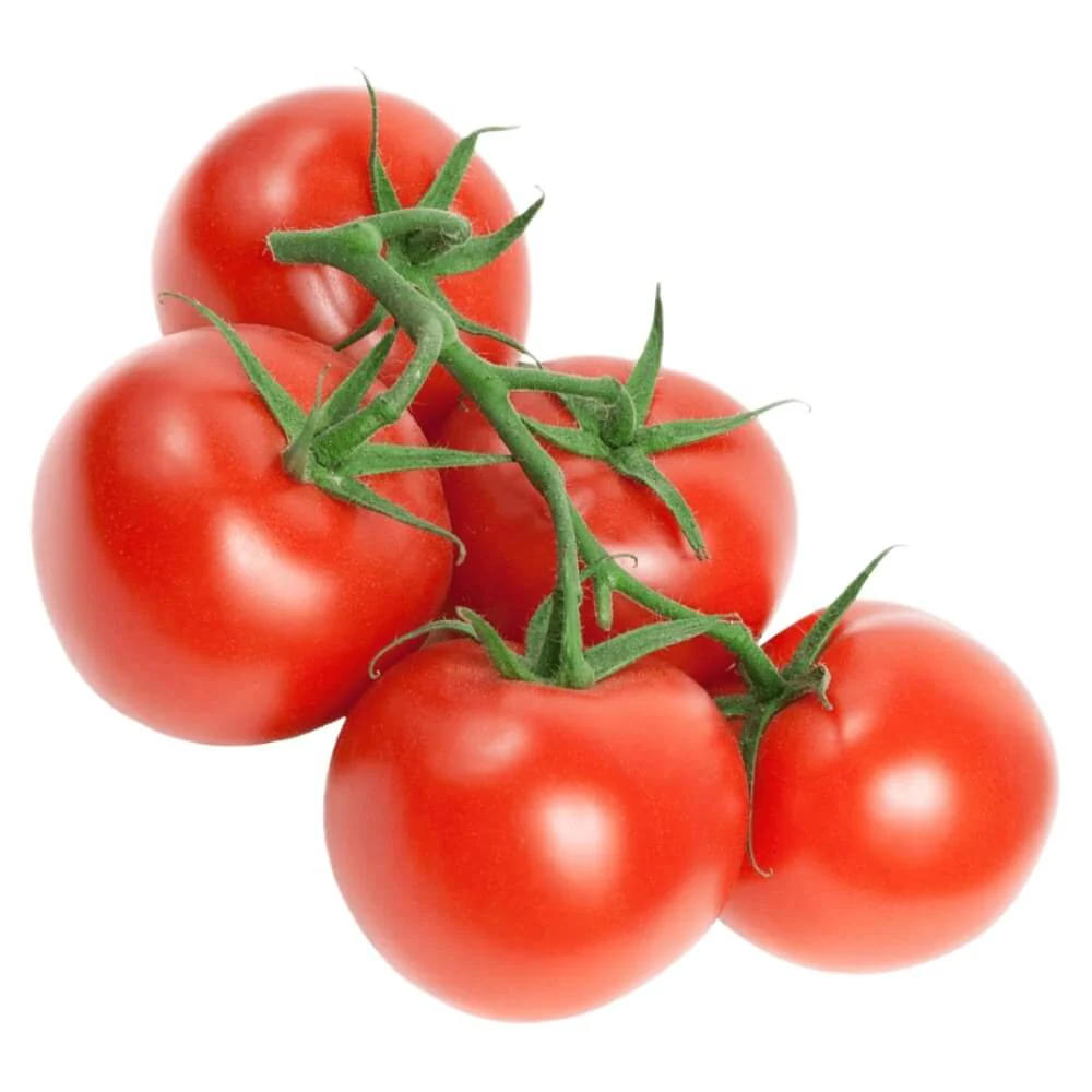 fresh-tomatoes-on-the-vine – Piggly Wiggly Online